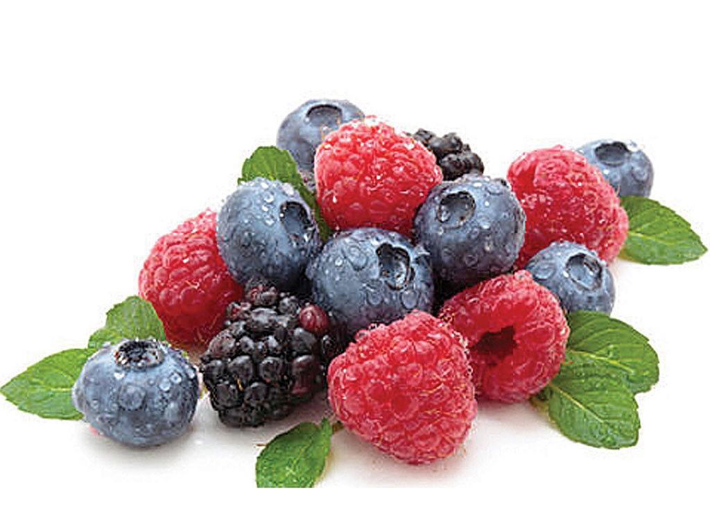 التوت - صحيفة الأيام البحرينية